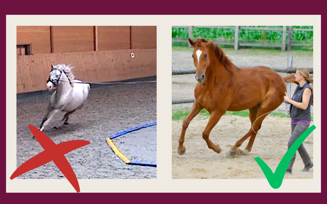 Startseite - Babette Teschen