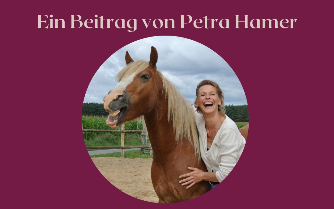 „Dominanztraining" versus "positiv verstärken" - Babette Teschen